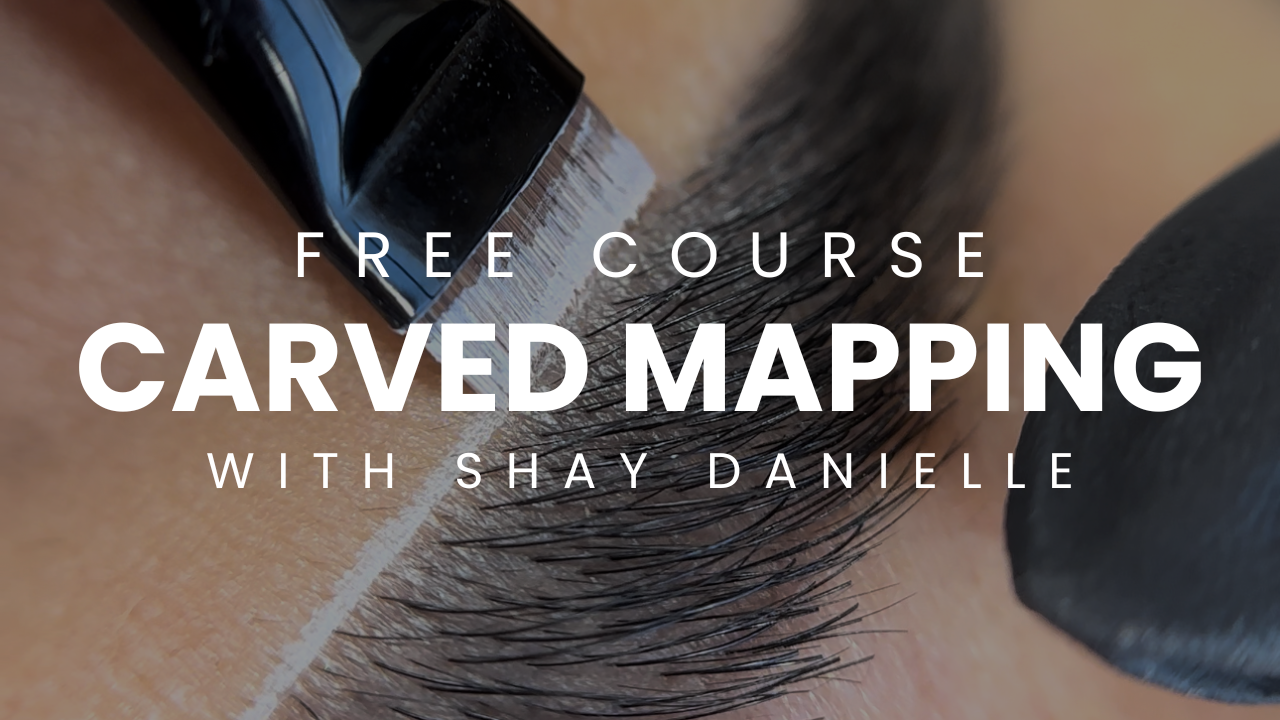 Concealer Mapping for Lips and Brows – Shop Shay Danielle