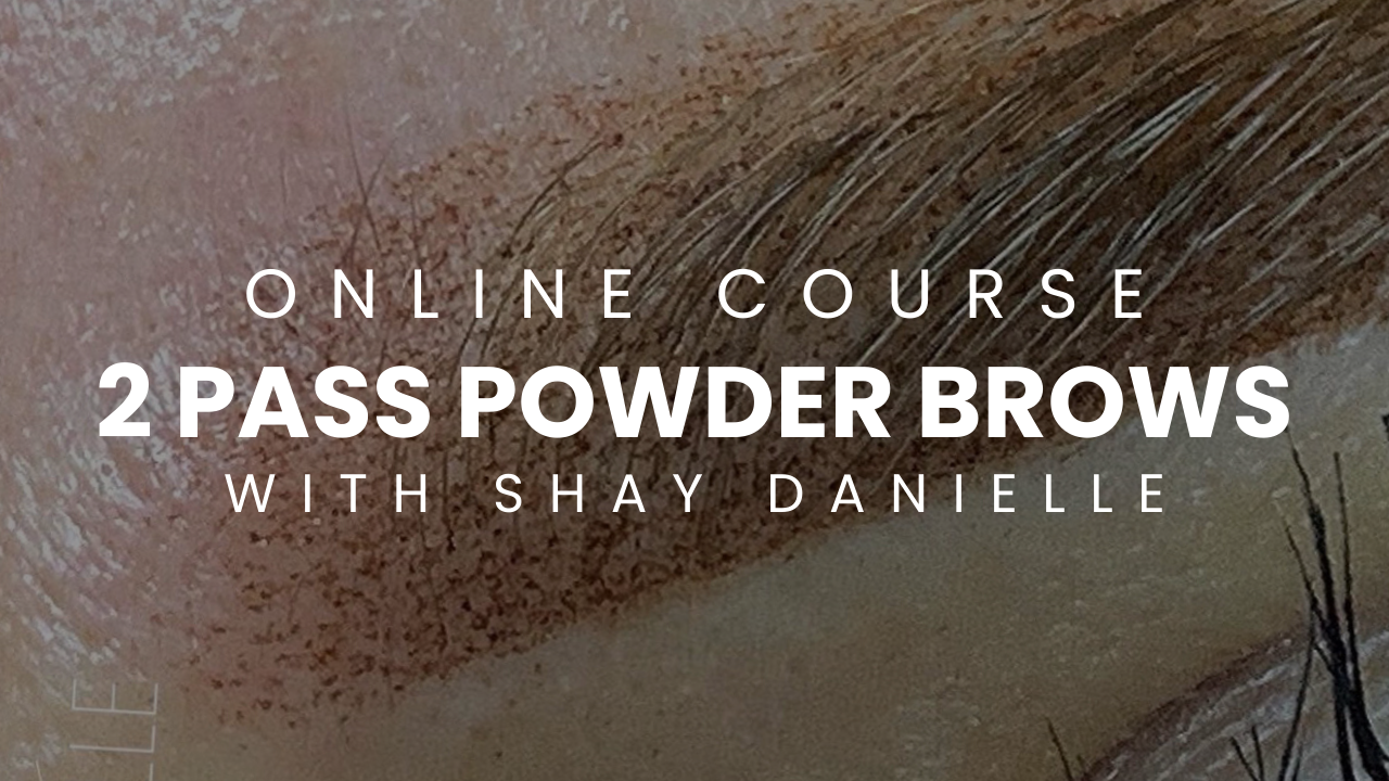 Powder Brows Online Course | Shay Danielle Academy – Shop Shay Danielle