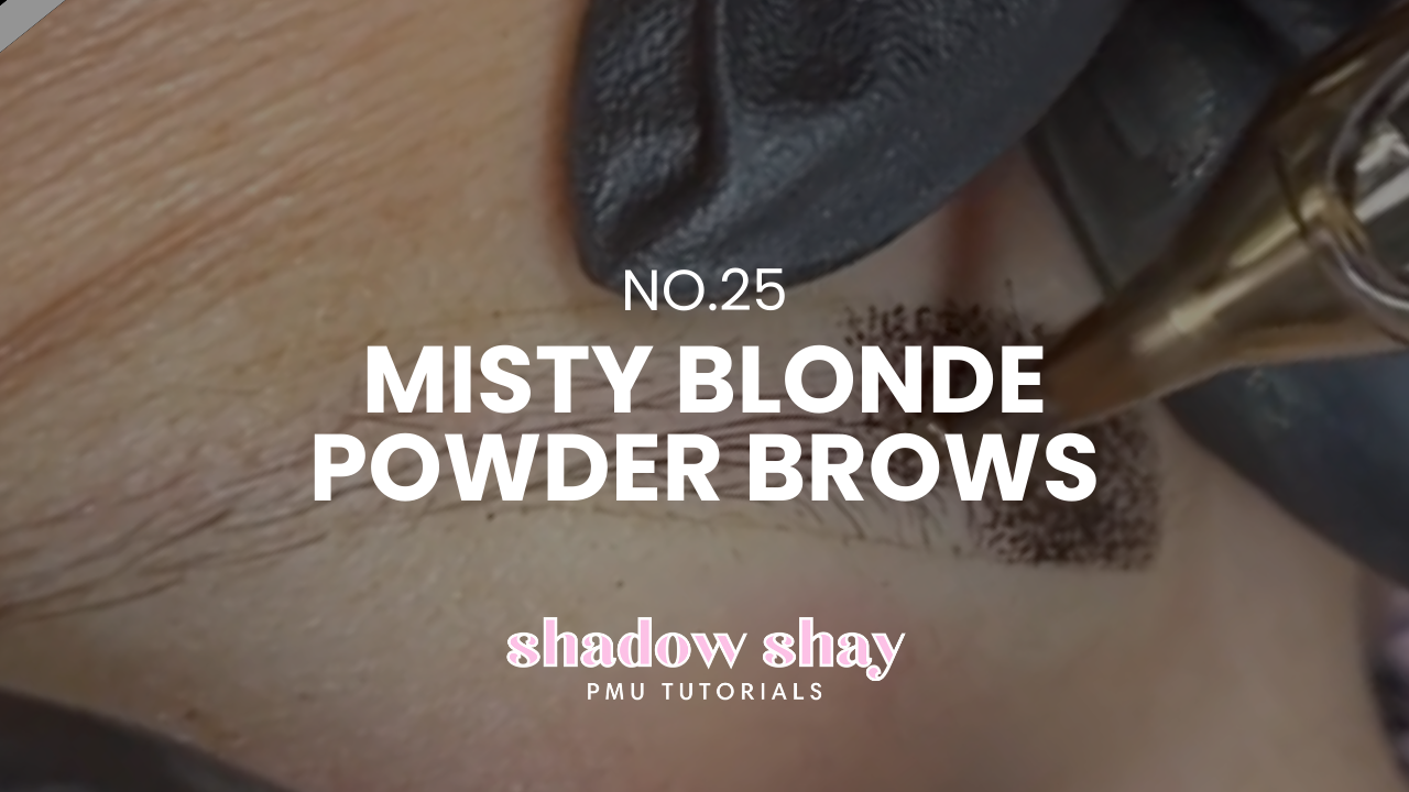 Misty Blonde Powder Brows with Nano Fronts $39 Tutorial | Shay Danielle ...